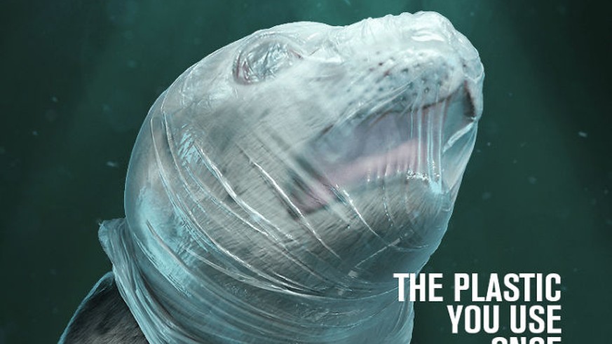 Plastikmüll: Tiere sind im Meer davon bedroht Plastikmüll: Tiere sind im Meer davon bedroht